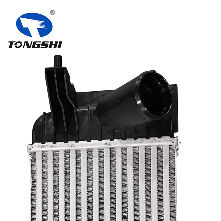 For GN DODGE CHEVROLET EQUINOX 探界者 OEM:84454111-TONGSHI